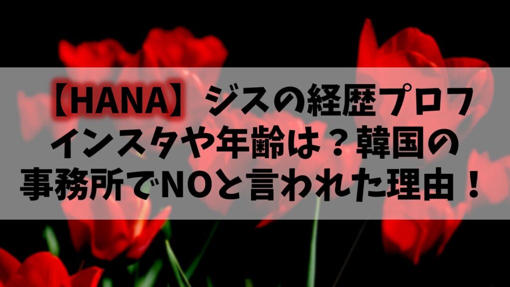 【HANA】元ノノガJISOO(ジス)のインスタや年齢は？韓国事務所でNOと言われた理由！ - rei-daily